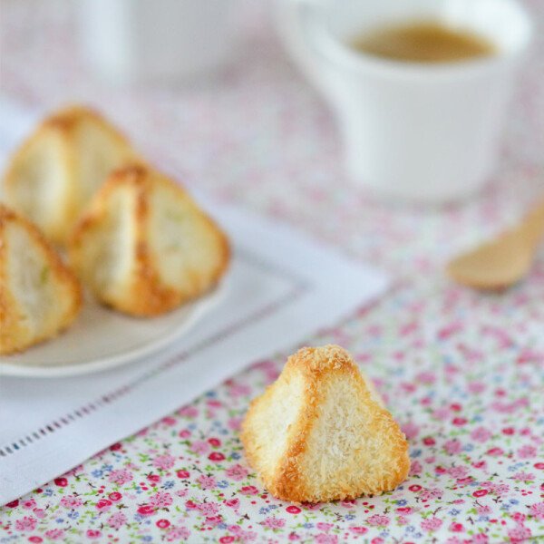 Rochers noix de coco - Régilait